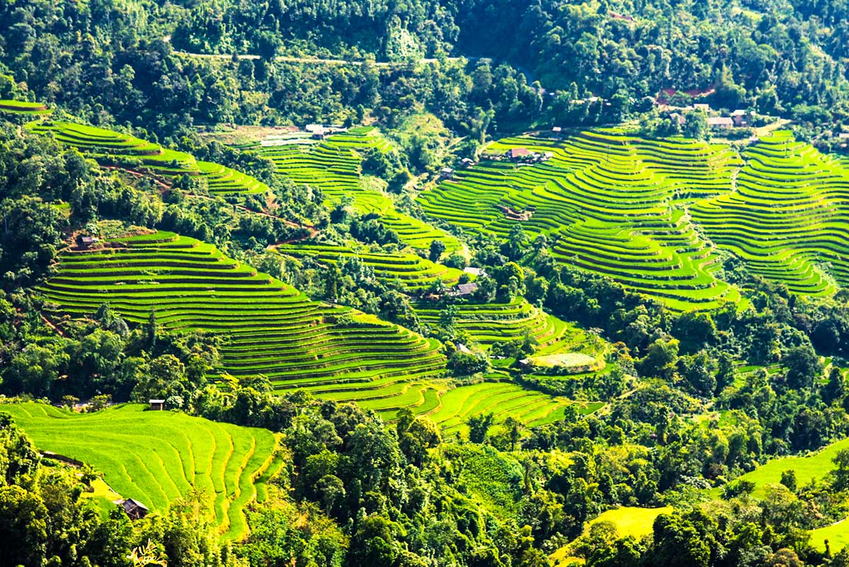6 best Rice Fields in Ha Giang & the right season 2025