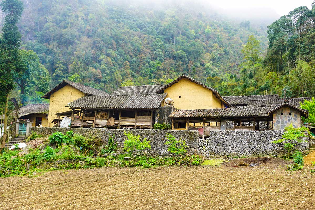 Pao's House: La Cultura H'Mong en el Valle Sung La de Ha Giang - Local ...