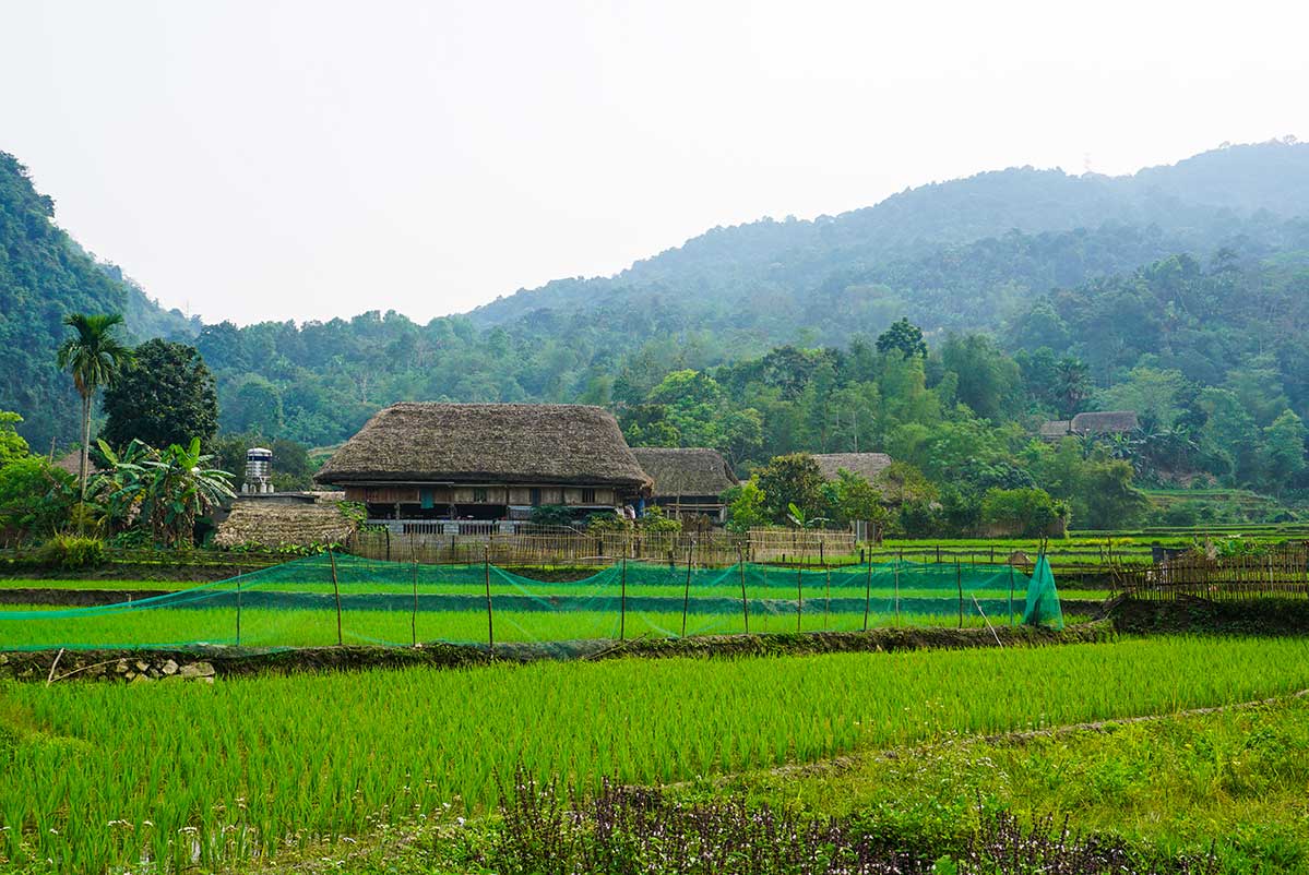 Thon Tha Village - Homestay experience & 4 best things to do - Local Ha ...